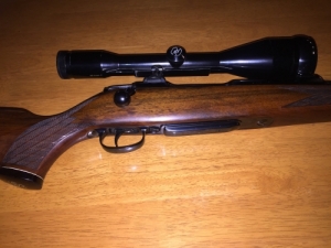 Sauer 80
