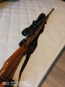 Zastava mauser 243