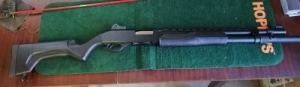 Savage Stevens model 320 Security
