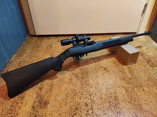 ruger-10-221672600156.jpg
