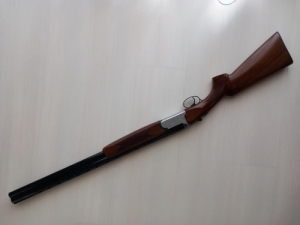 Silvio Brignoli Premier